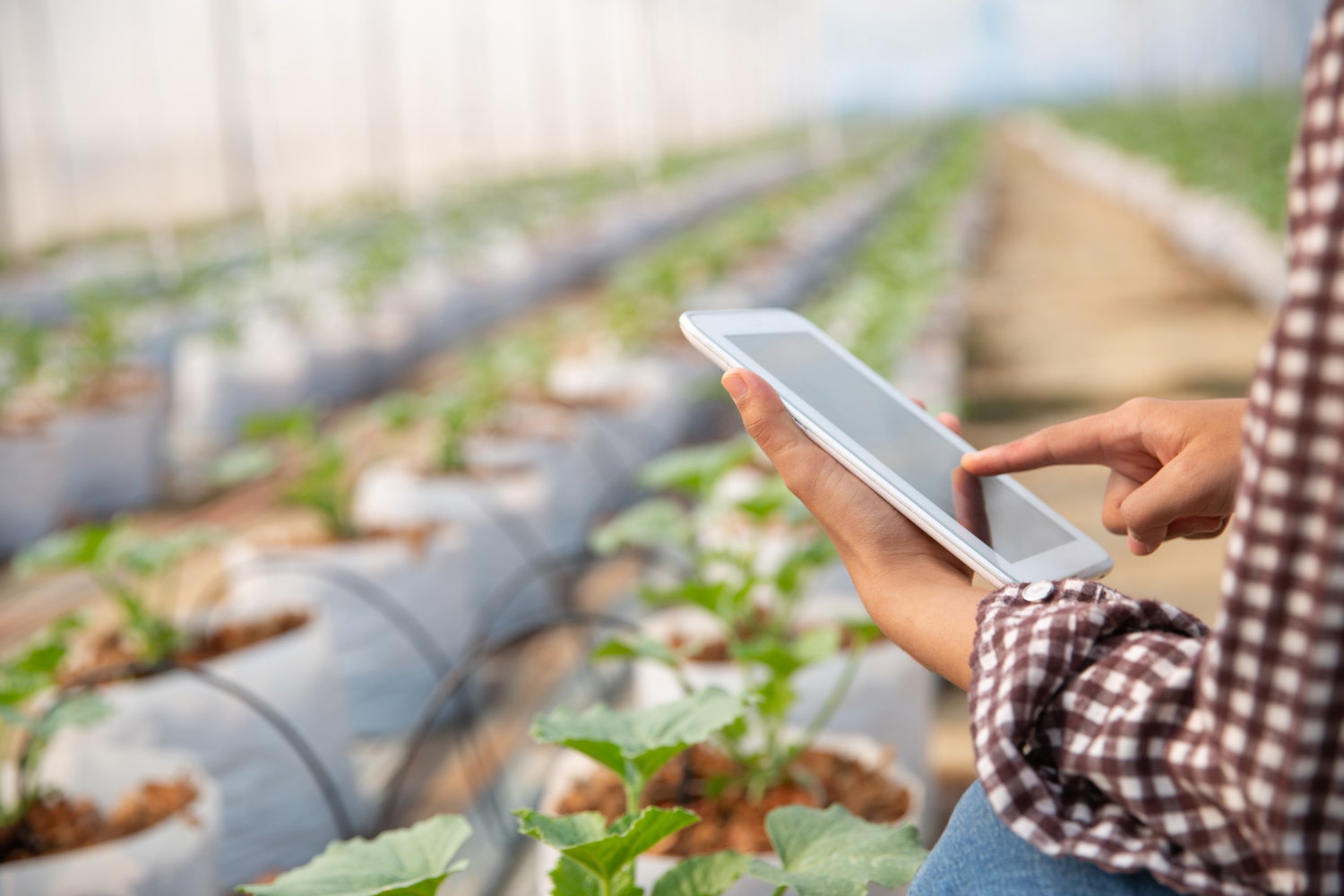 Digitalización Sector Agroalimentario Español